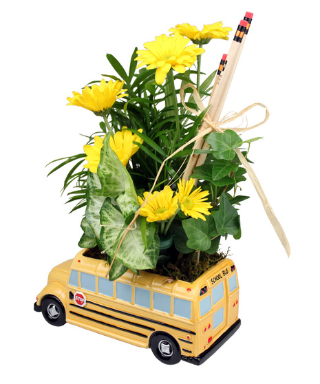 Back to School Flowers and Gifts | Louisville Florist