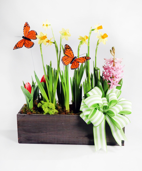 Louisville Spring Flower Delivery | Nanz & Kraft Florists